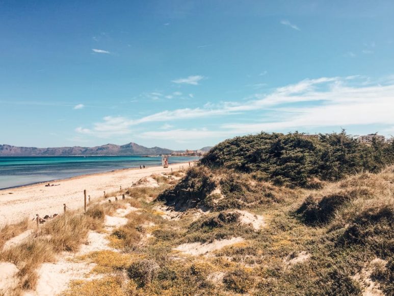 Mallorca im Winter - 7 Reisetipps für die Insel zur Nebensaison