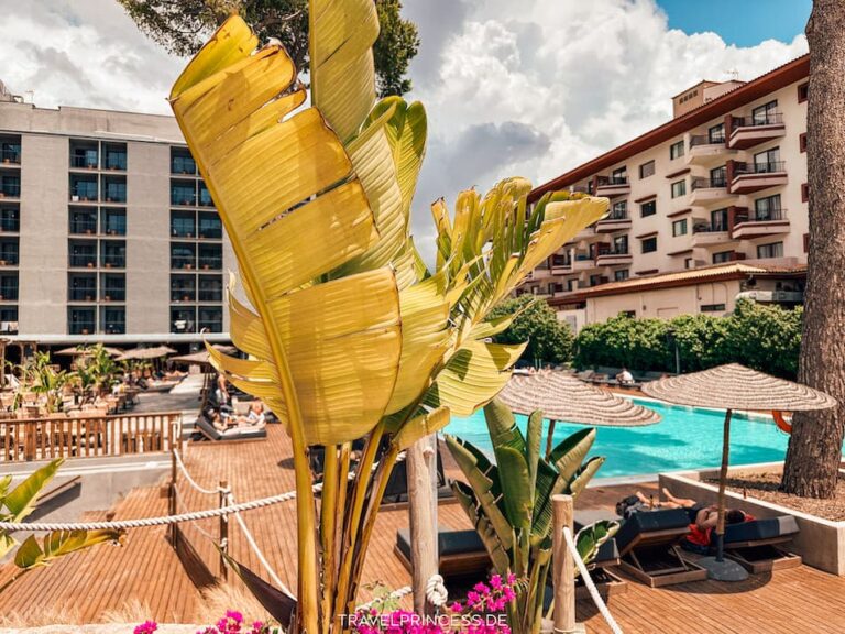 Cook’s Club Calviá Beach: Tipps für deinen Urlaub auf Mallorca