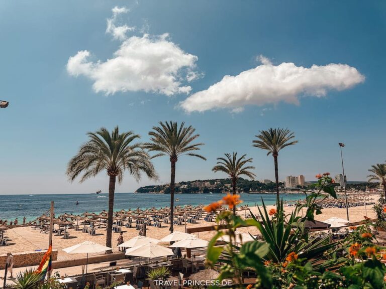 Cook’s Club Calviá Beach: Tipps für deinen Urlaub auf Mallorca