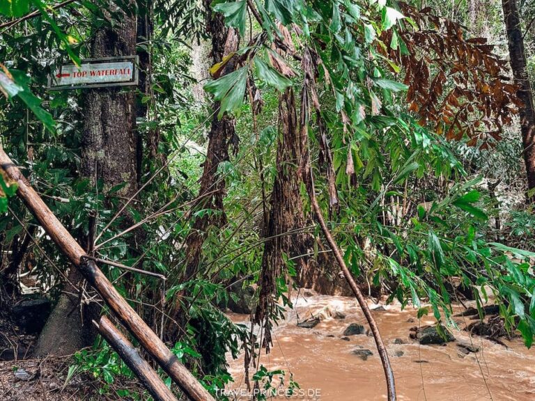 Koh Samui Sehenswürdigkeiten: Reisetipps für deinen Urlaub